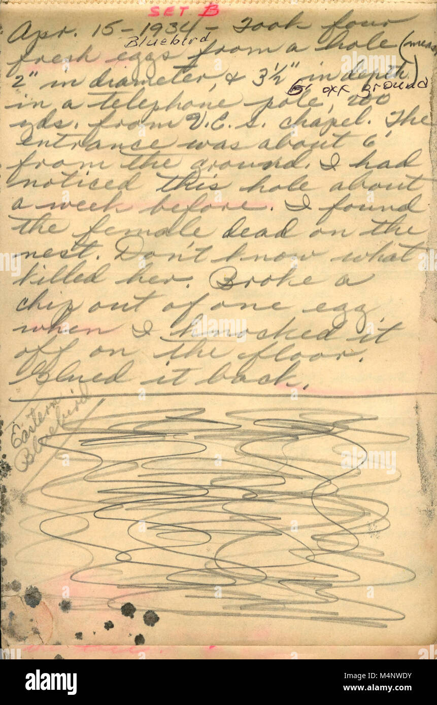 This 1932-1934 publication includes detailed notes on bird nesting ...