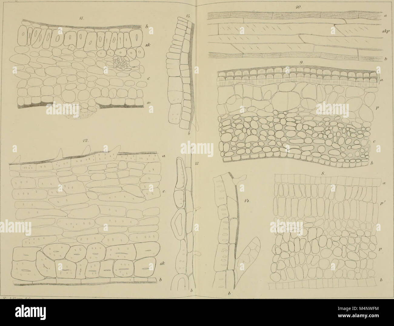 The 1872 Bihang to the Royal Swedish Academy of Sciences includes ...