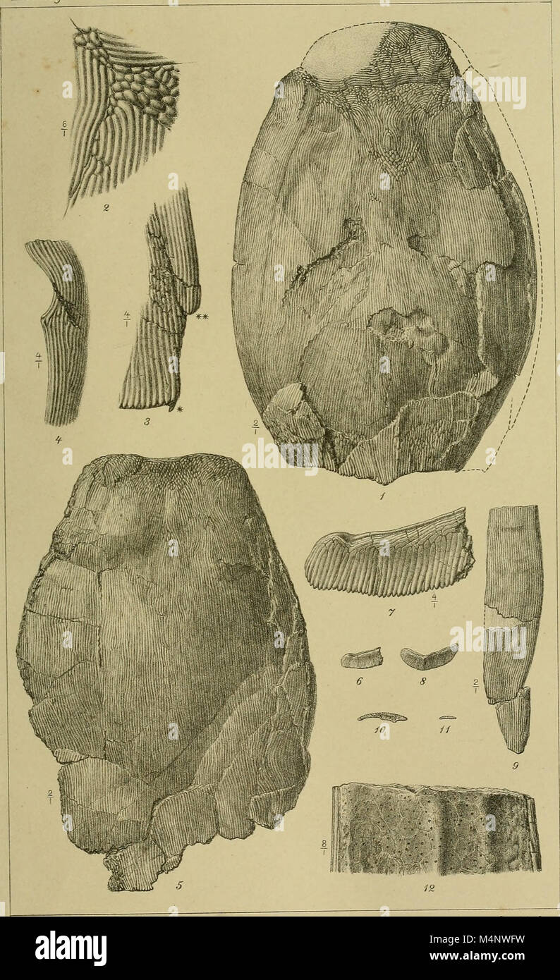 The 1872 volume of 'Bihang till Kongl. Svenska vetenskaps-akademiens ...