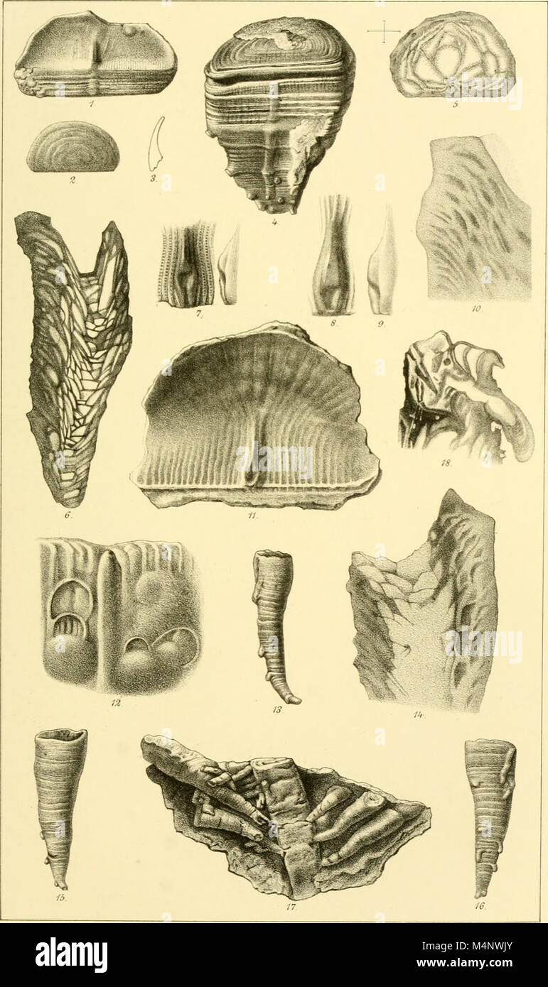 A scientific publication from the Royal Swedish Academy of Sciences ...