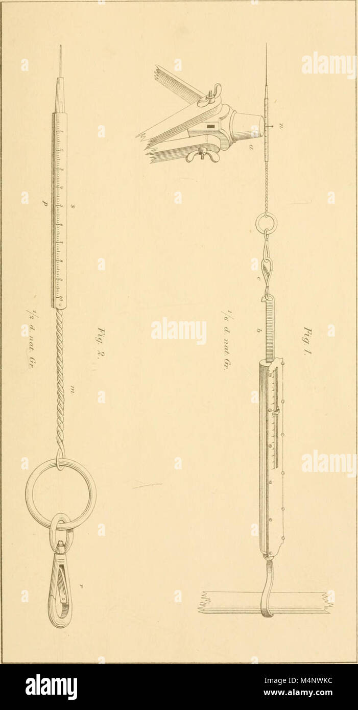 The 'Bihang till Kongl. Svenska vetenskaps-akademiens handlingar' (1884 ...