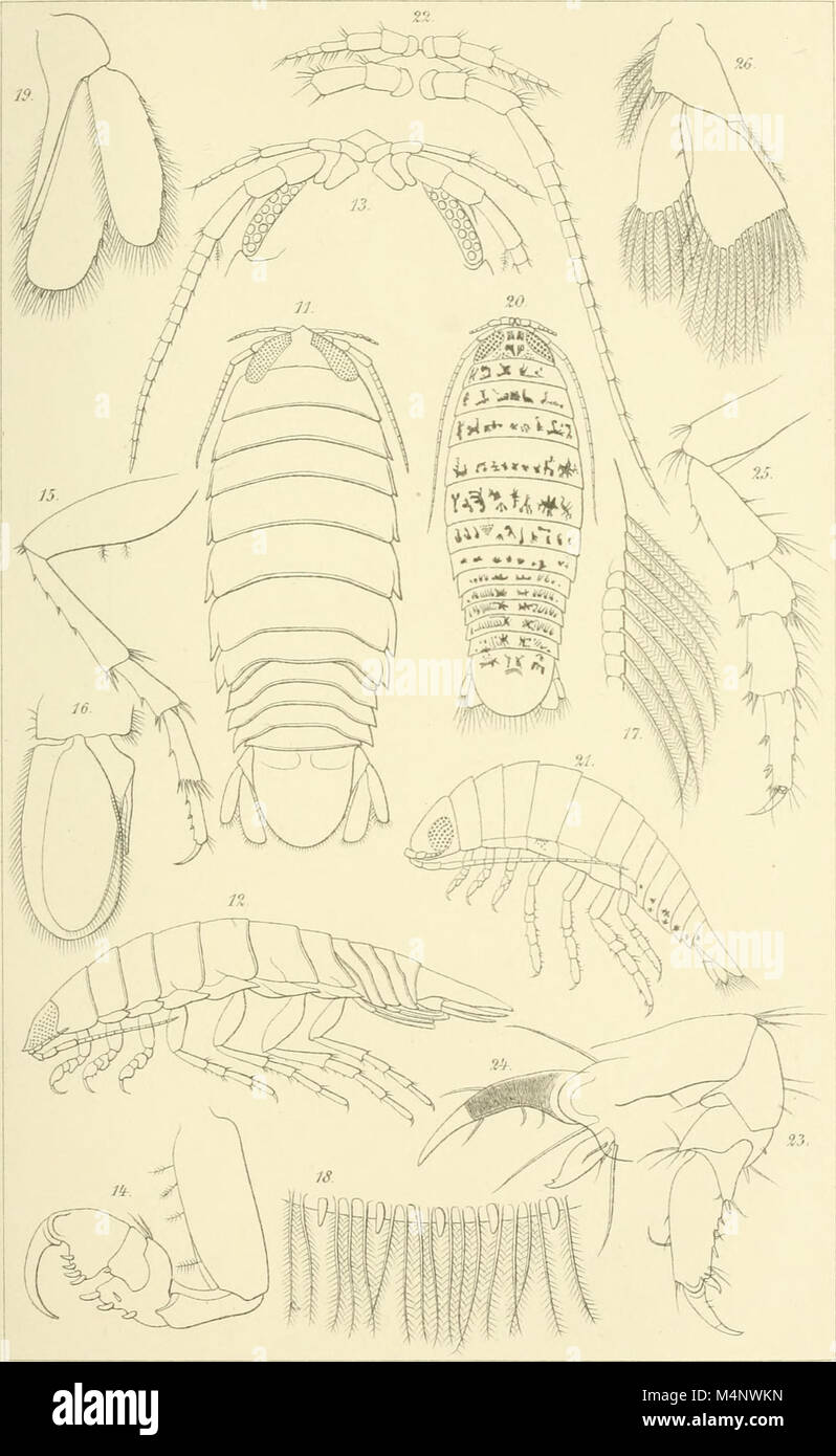 1887 proceedings hi-res stock photography and images - Alamy