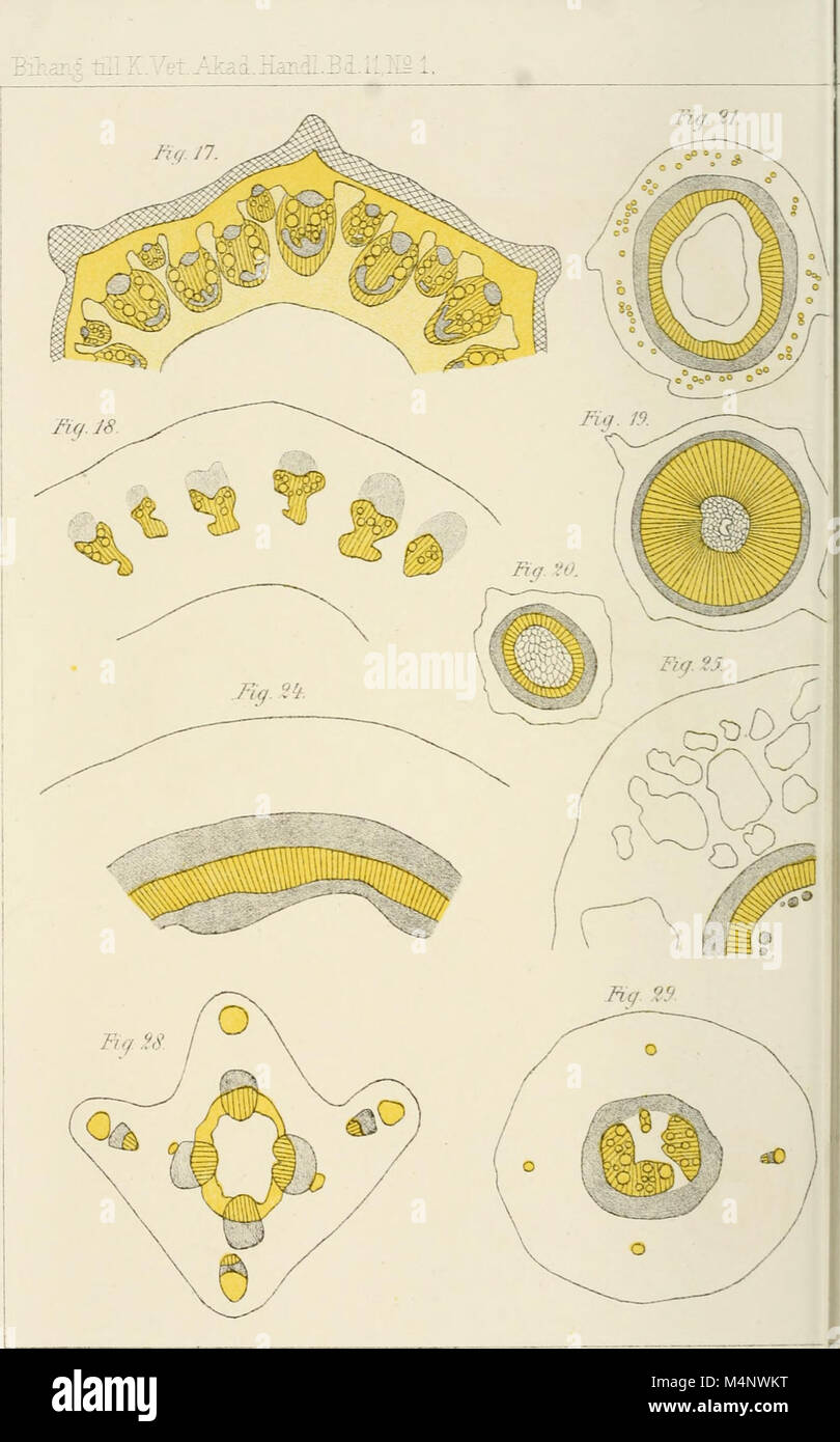 The *Bihang* (1886-1887) is an appendix to the *Kongl. Svenska ...