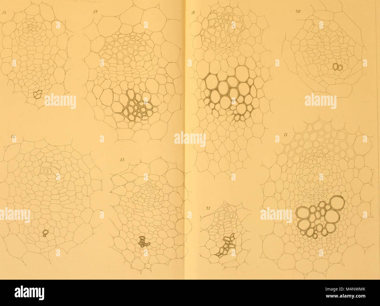 The 1888 volume of the Bihang to the Royal Swedish Academy of Sciences ...