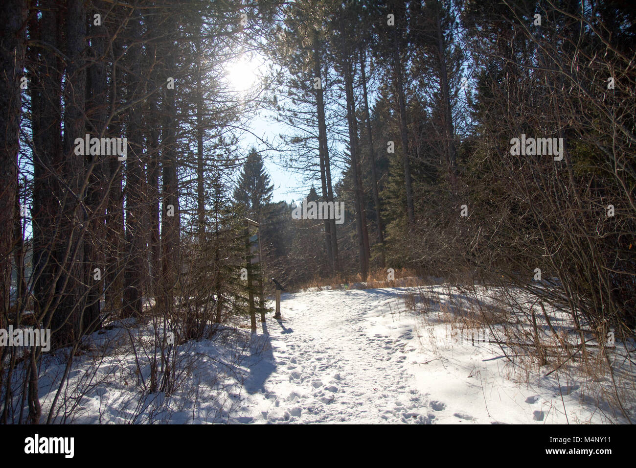 Gooseberryfall hi-res stock photography and images - Alamy