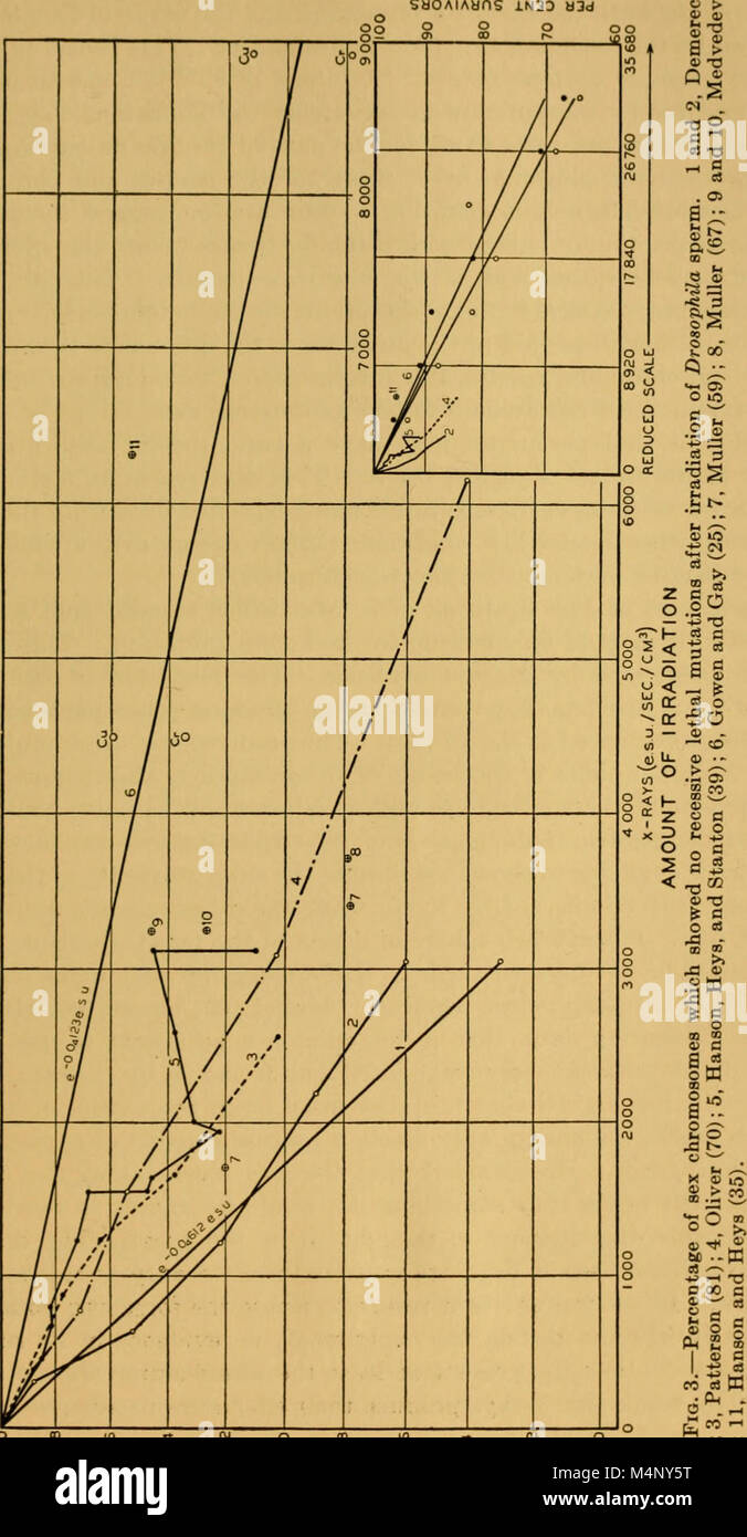 This 1936 study discusses the biological effects of radiation, focusing ...