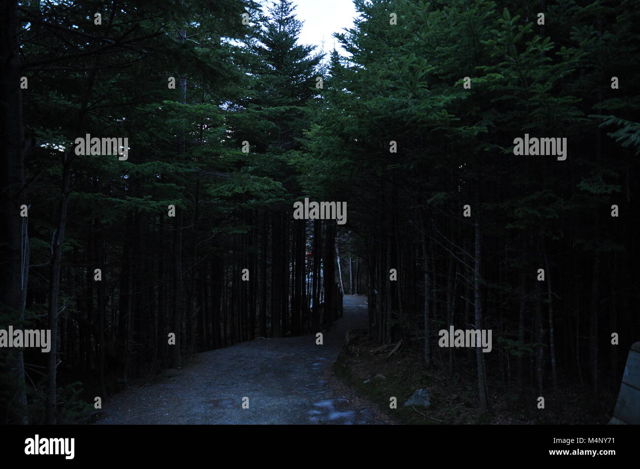 Way of Darkness Stock Photo - Alamy
