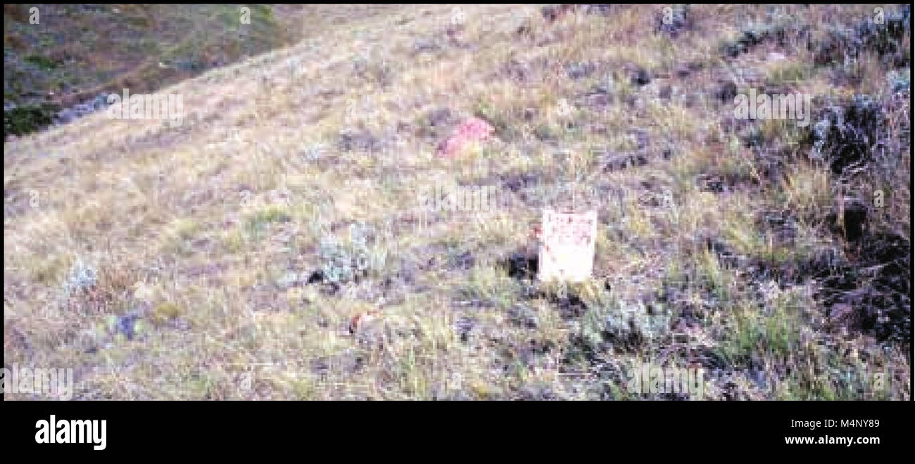 Biological survey of a prairie landscape in Montana's glaciated plains ...