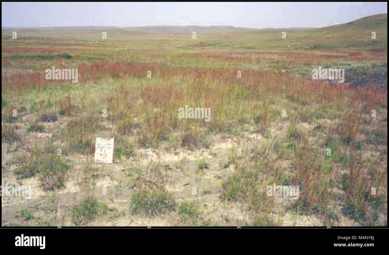 This 2001 report presents a biological survey of the prairie landscape ...