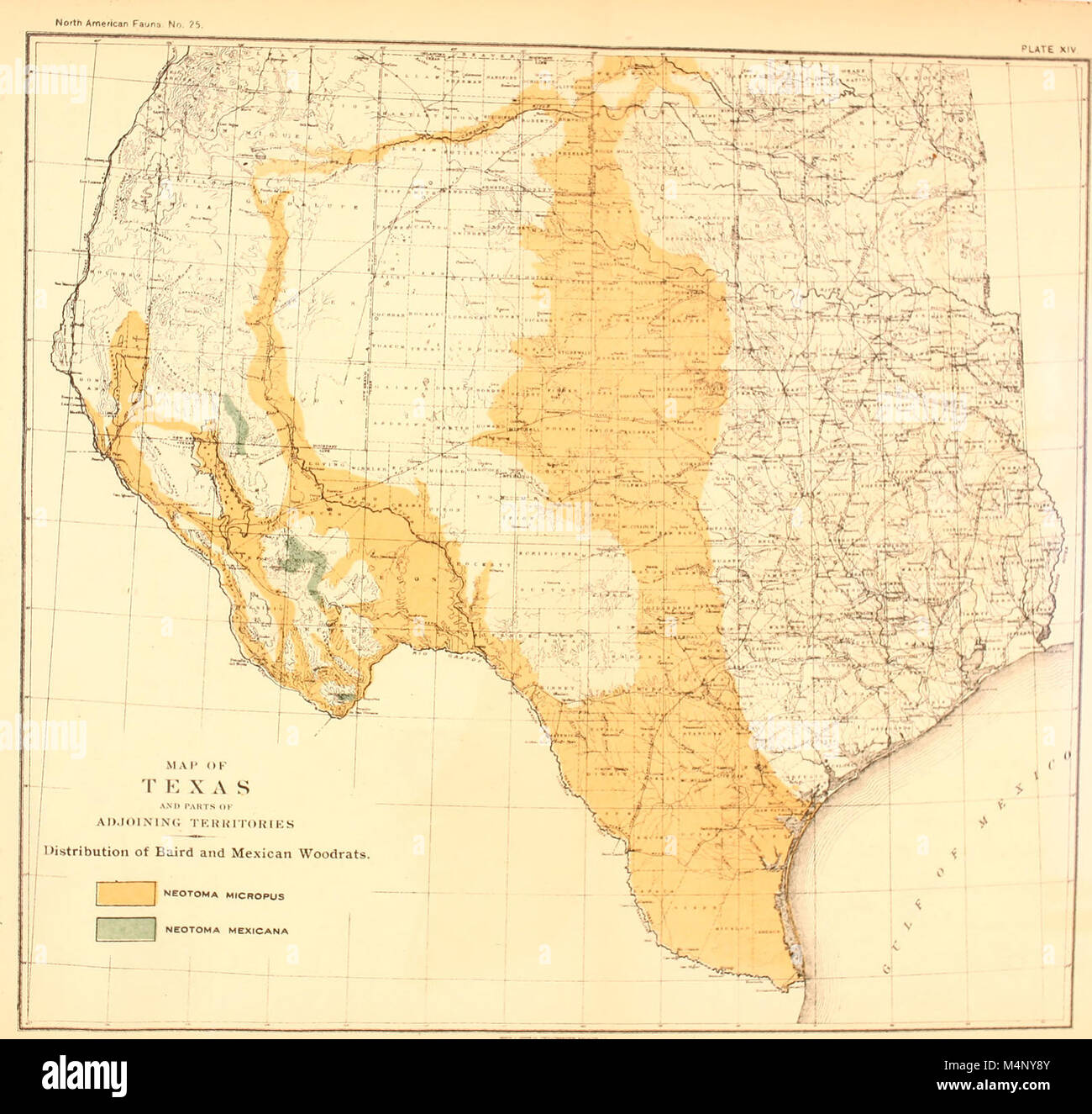 Biological survey of Texas - Life zones, with characteristic species of ...
