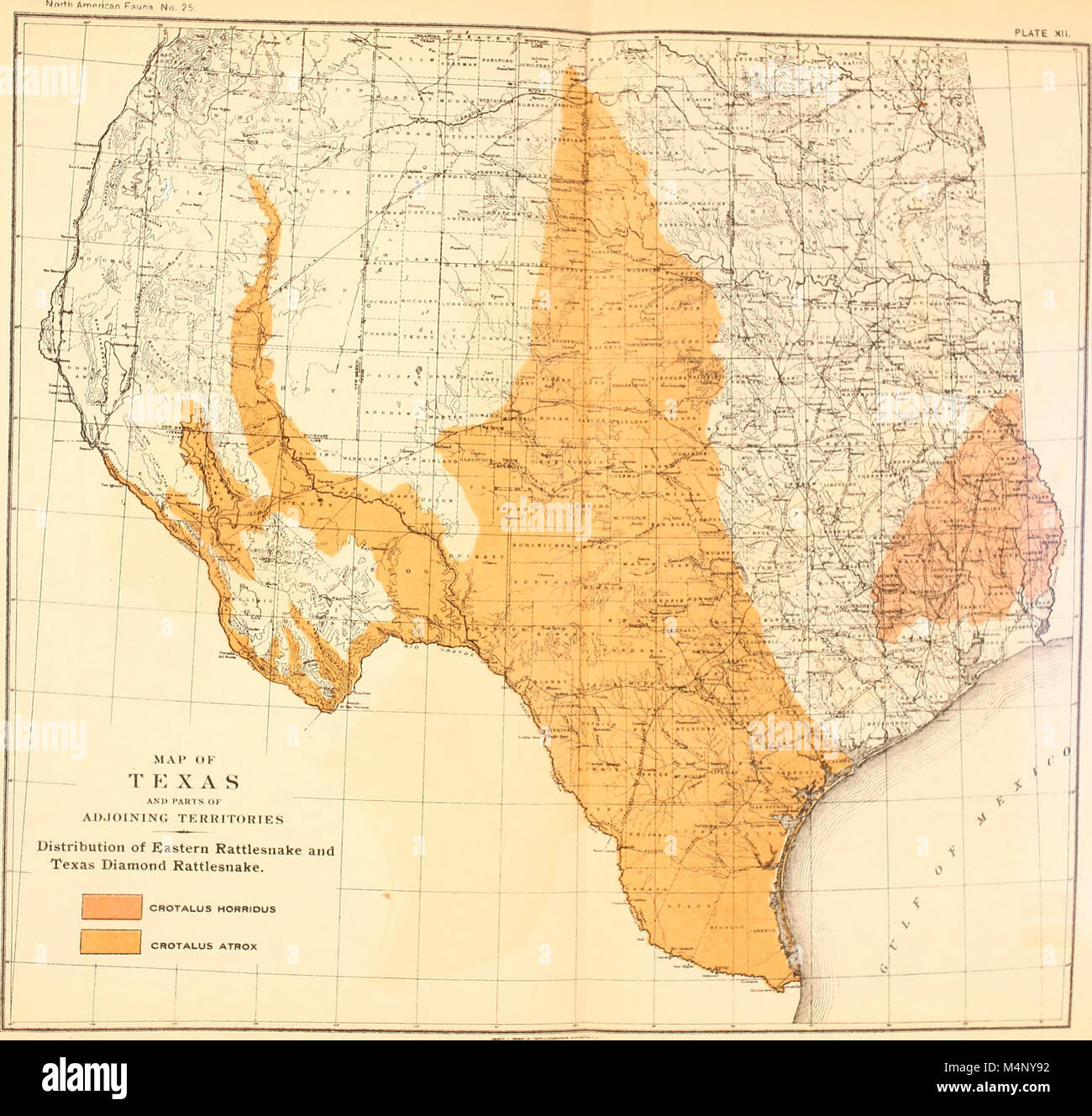Biological survey of Texas - Life zones, with characteristic species of ...