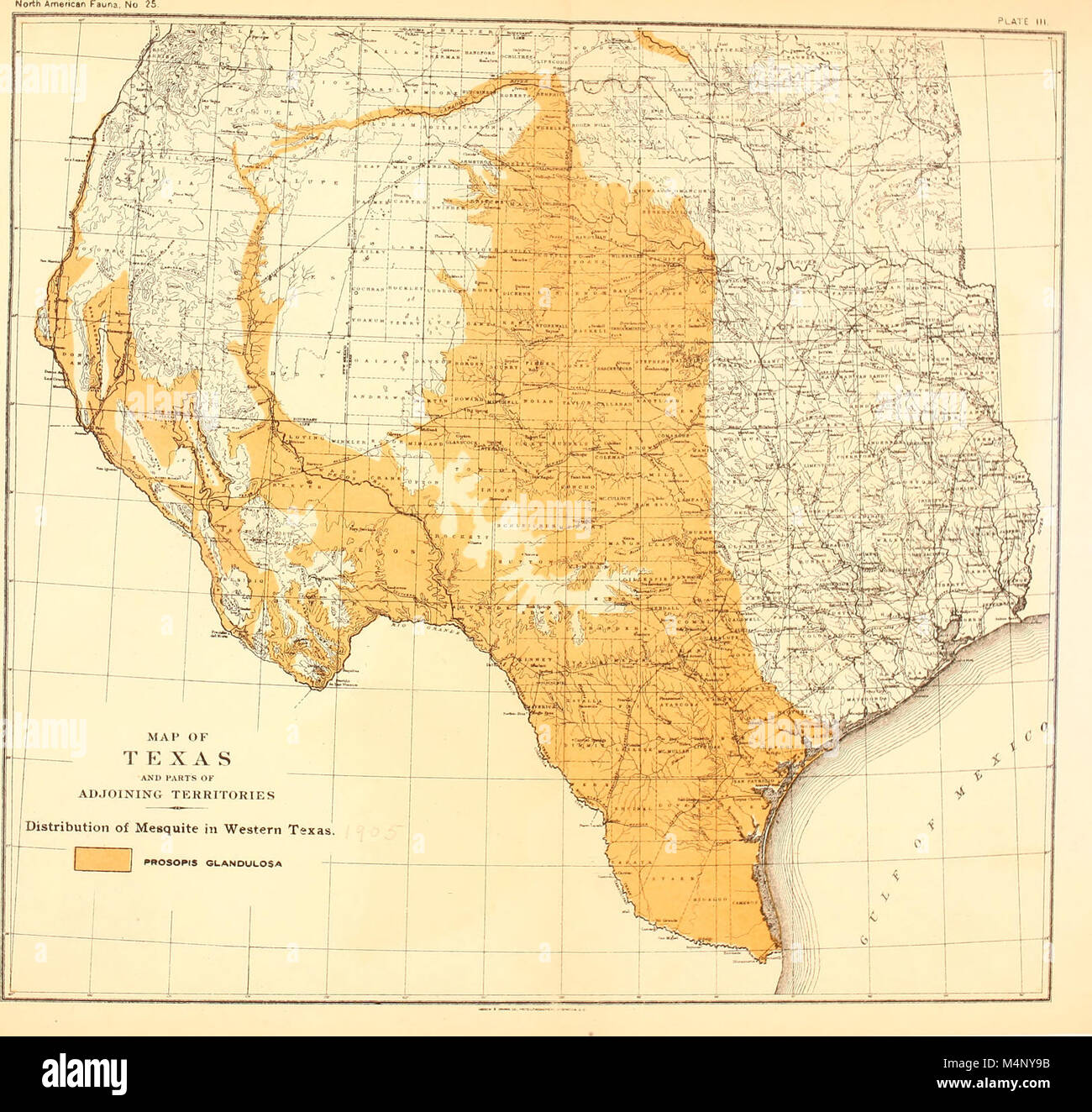 Biological survey of Texas - Life zones, with characteristic species of ...