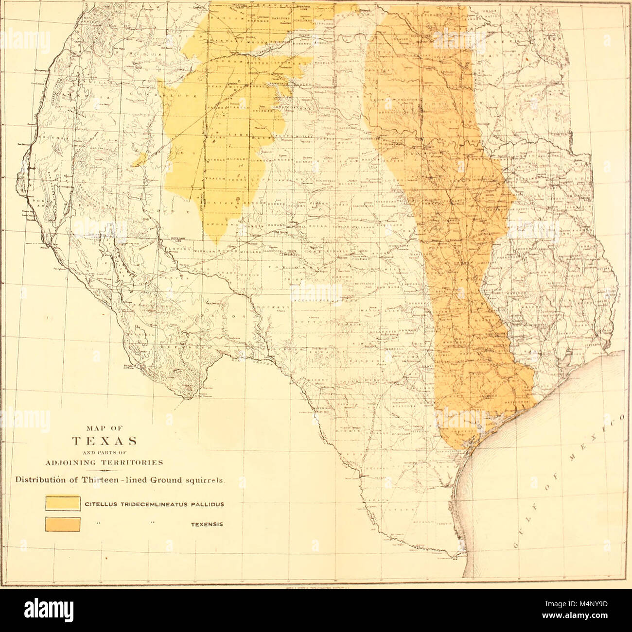 Biological survey of Texas - Life zones, with characteristic species of ...