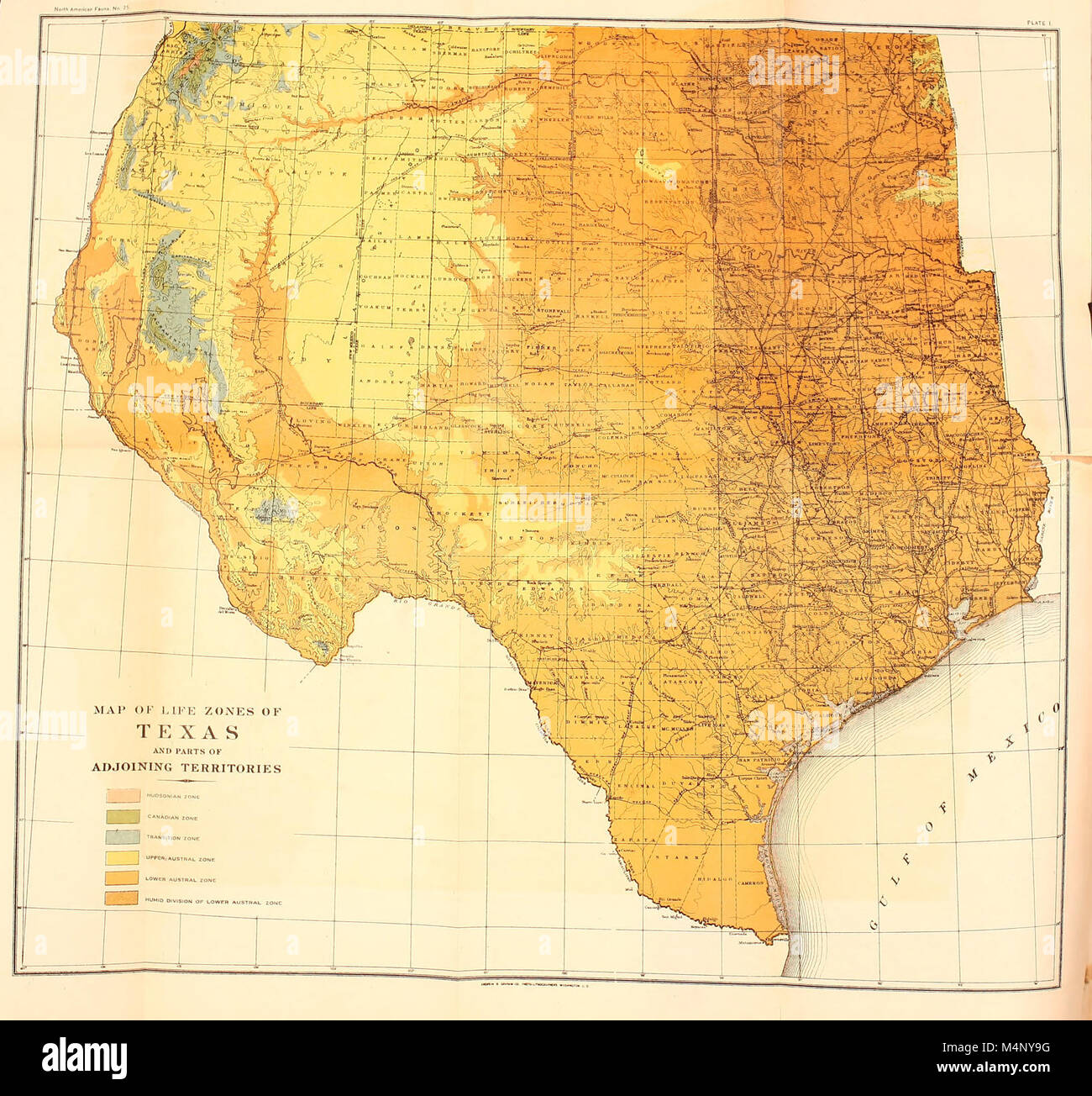 Biological survey of Texas - Life zones, with characteristic species of ...