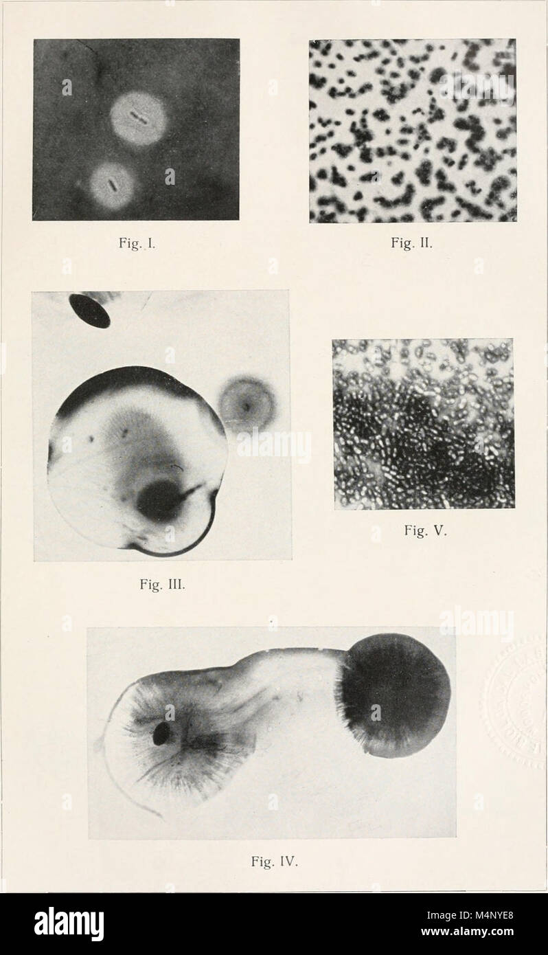 A 1915 biological journal focused on research in biology, featuring ...