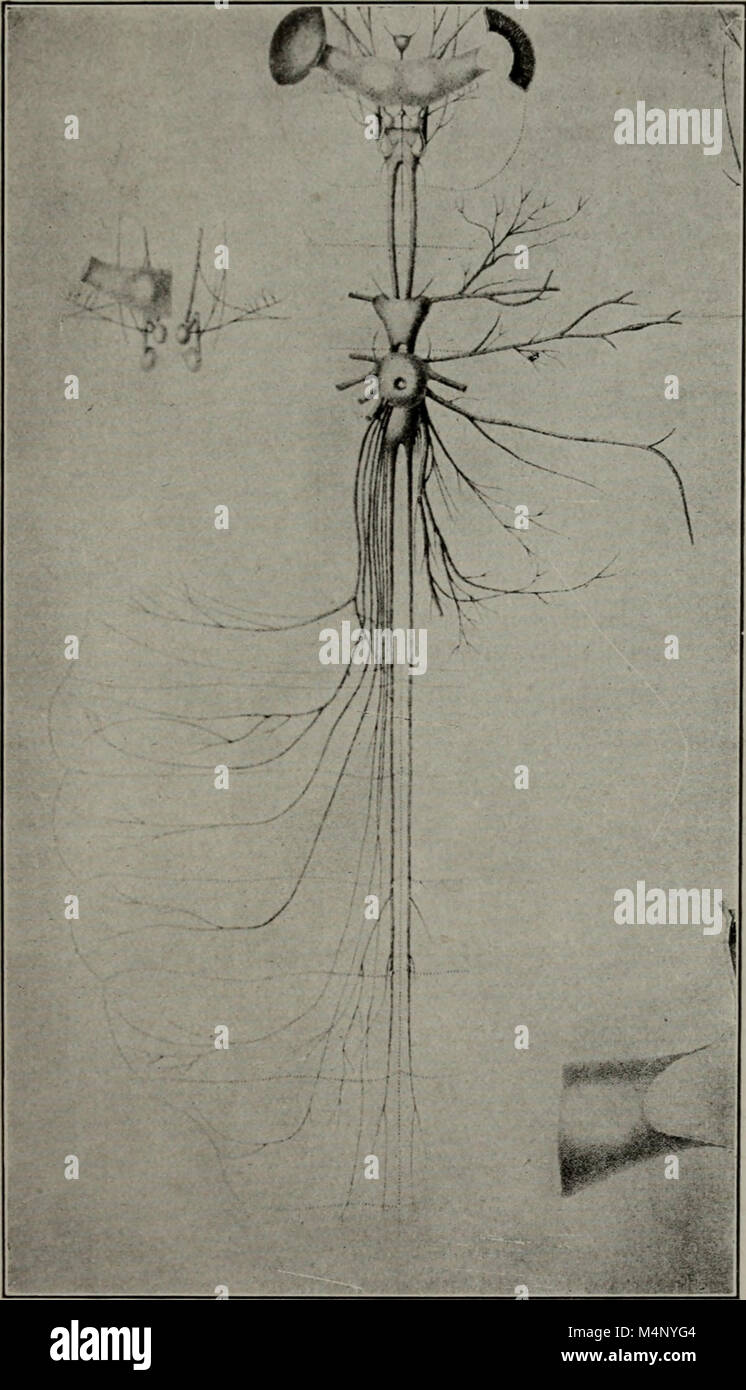 *Biology and Its Makers* (1908) discusses the foundational figures and ... *Biology and Its Makers* (1908) discusses the foundational figures and ...