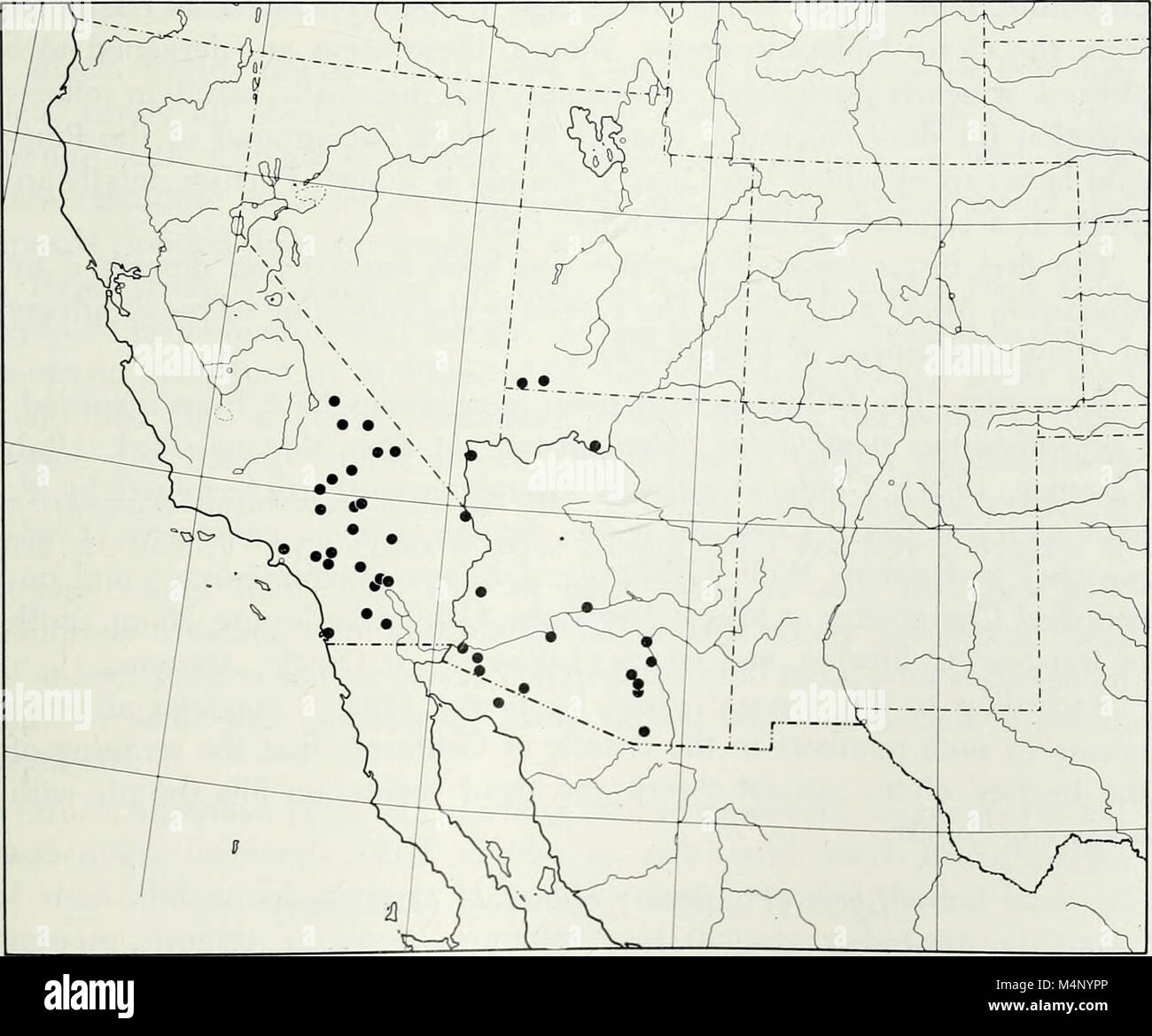 Phylogeny hi-res stock photography and images - Alamy