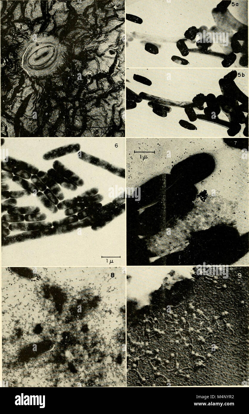 Research methods hi-res stock photography and images - Alamy