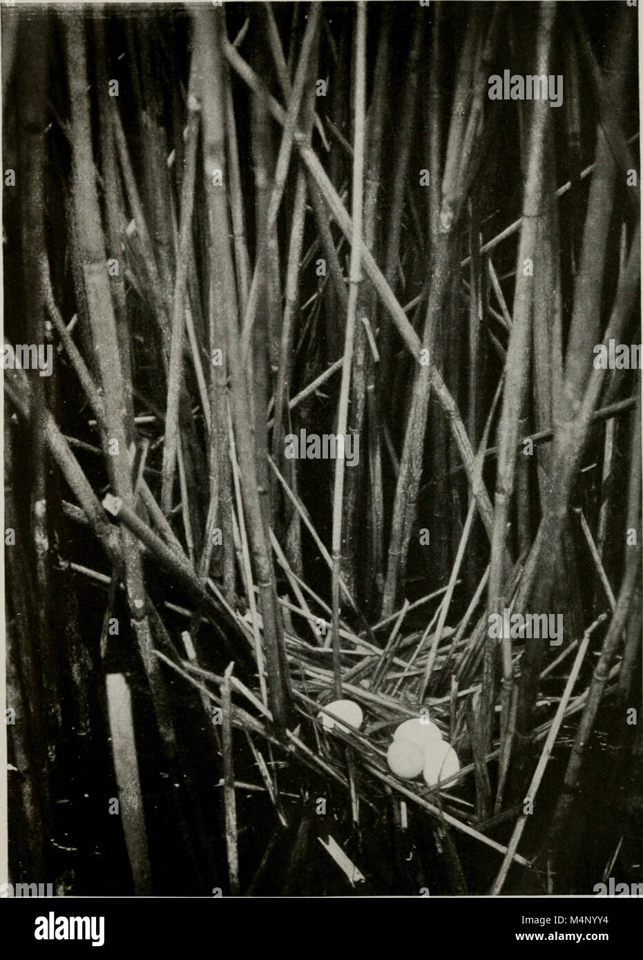 Book explores travel through hi-res stock photography and images - Alamy