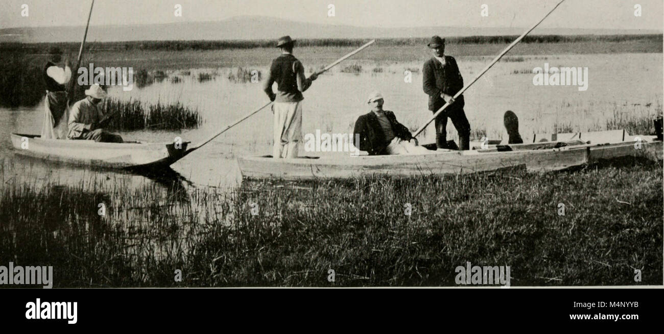 Bird-hunting through wild Europe (1908) (20195473300 Stock Photo - Alamy