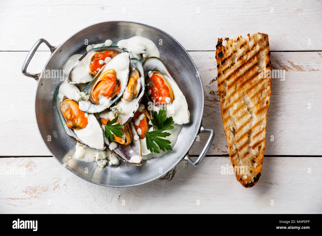 Shellfish Mussels Clams on pan with blue cheese sauce and bread Stock ...