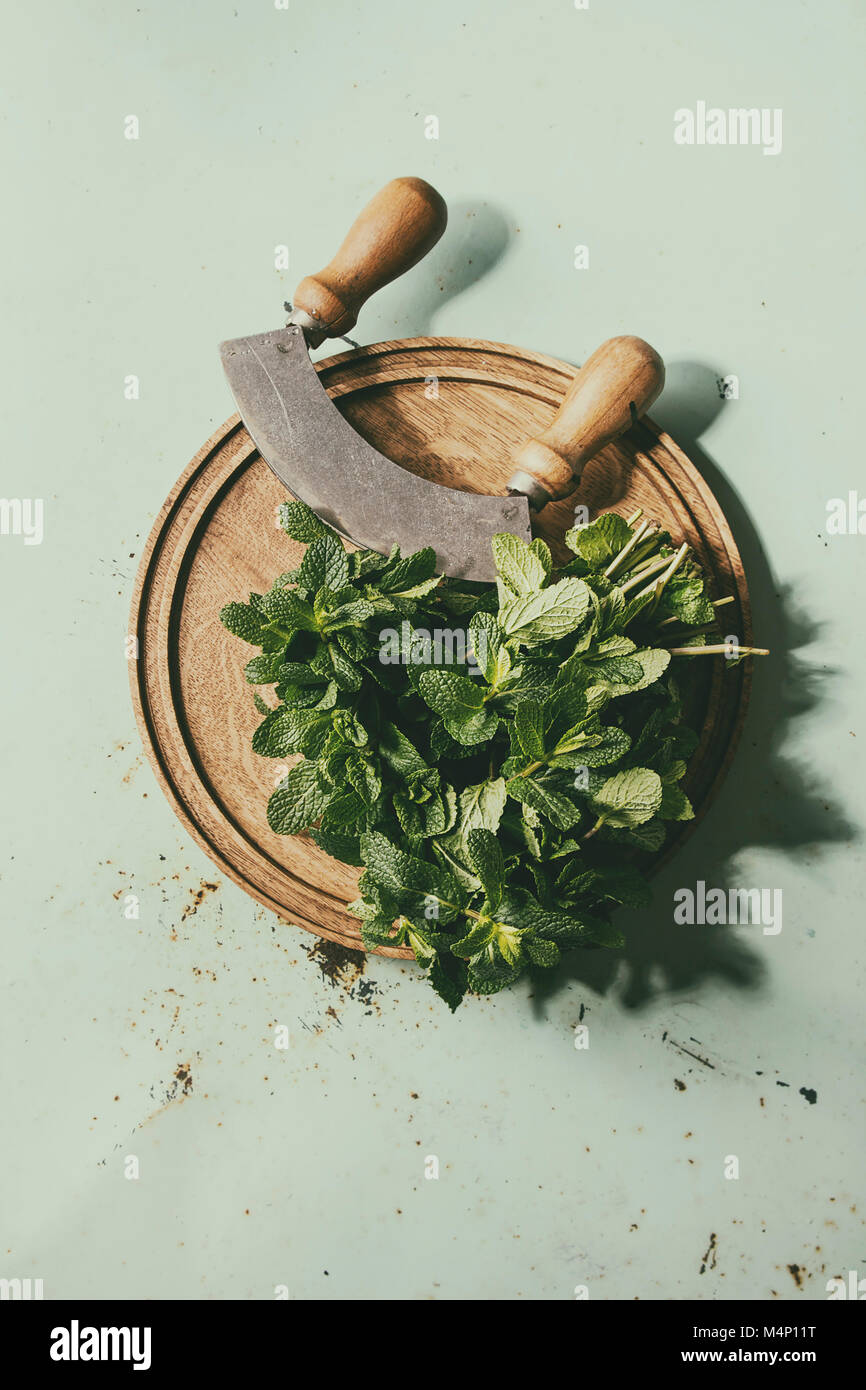 Bundle of fresh mint with vintage herbs cutter on round wooden board ...