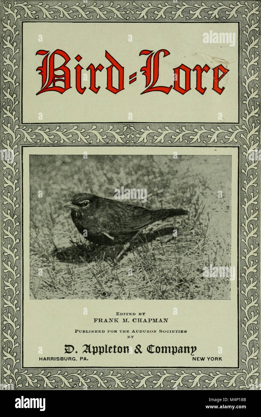 Bird-lore (1915) (14568749900 Stock Photo - Alamy