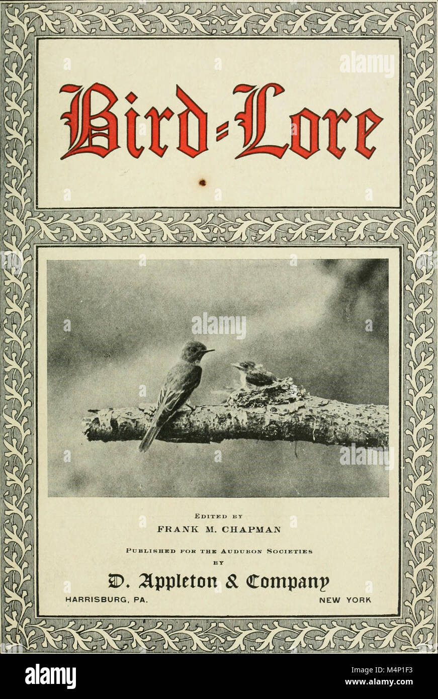 Bird-lore (1917) (14752605581 Stock Photo - Alamy