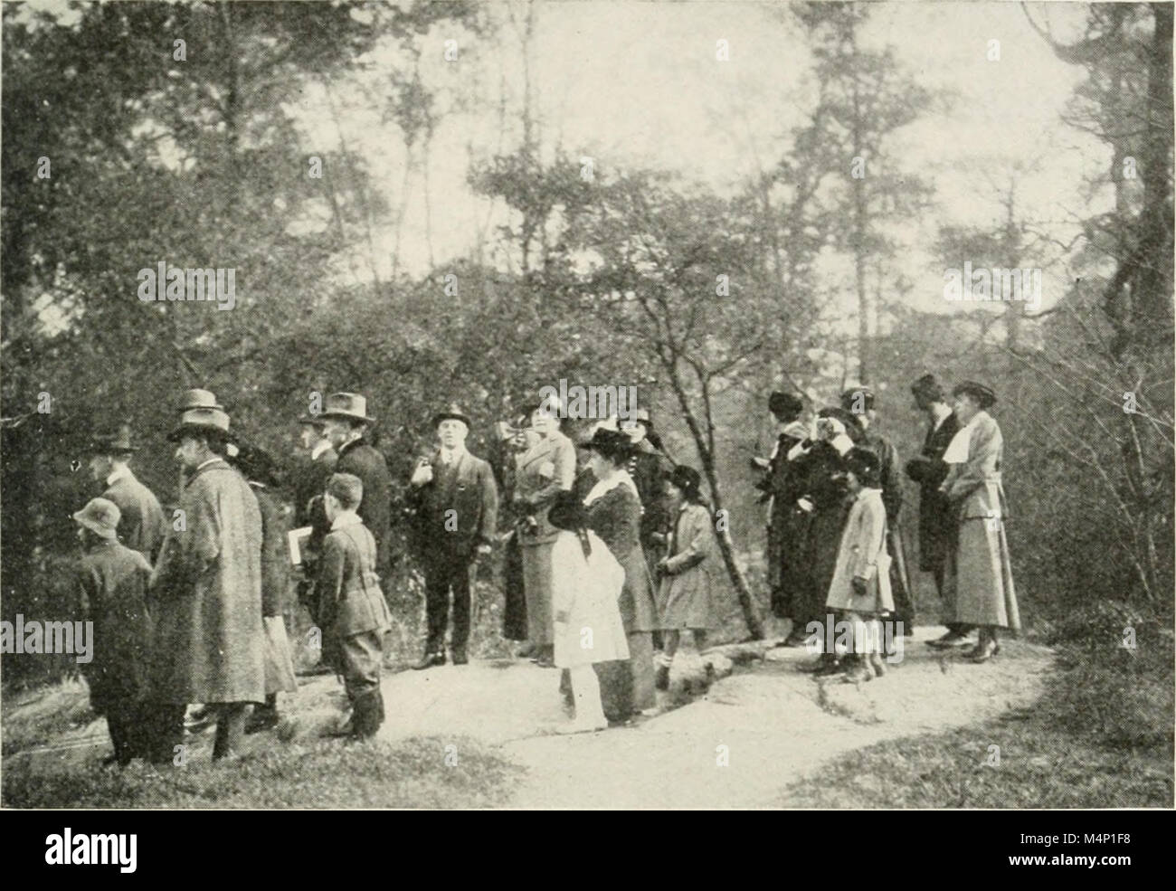 A 1917 publication on ornithology, focusing on bird behavior, species ...