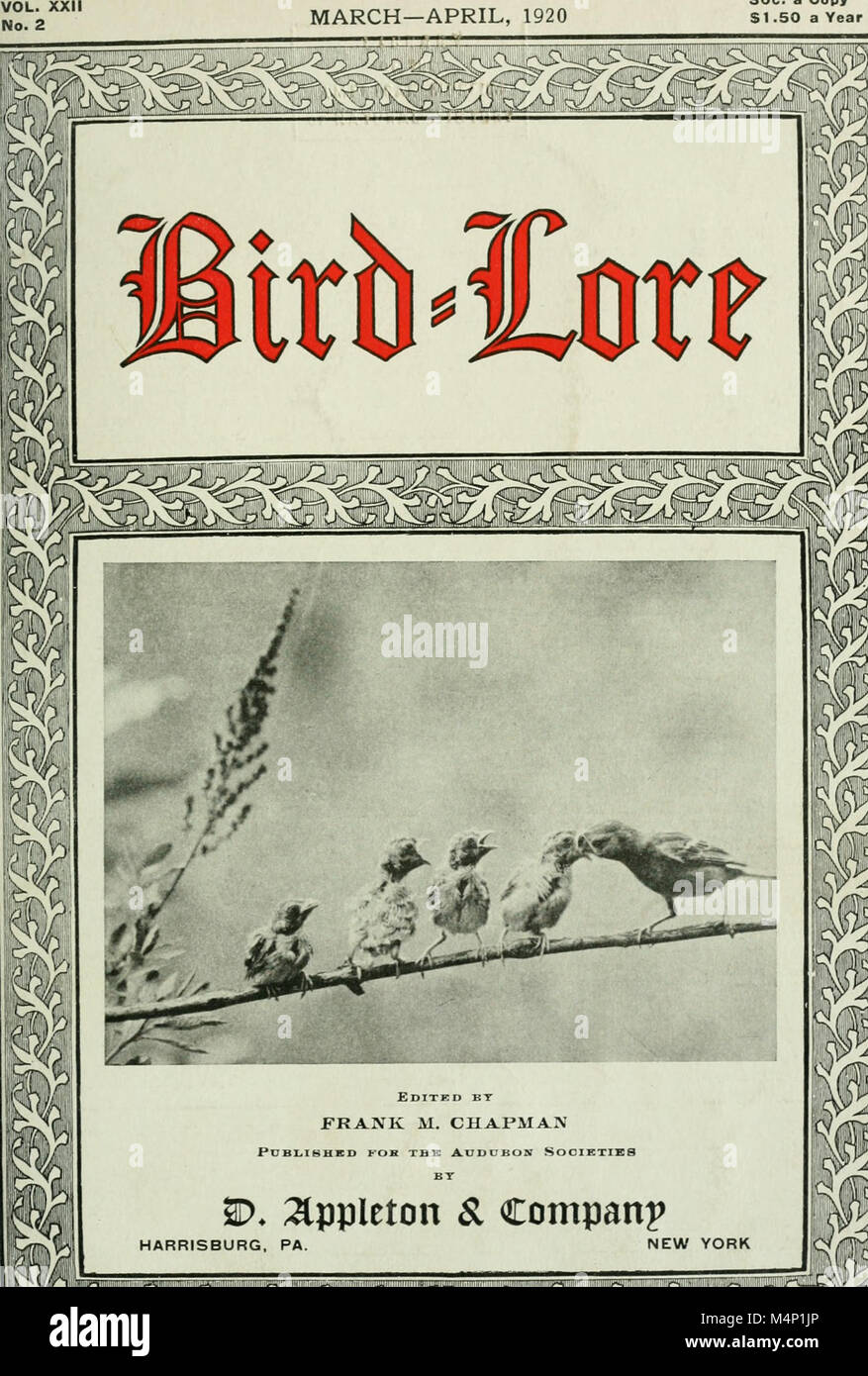 Bird-lore (1920) (14564363247 Stock Photo - Alamy