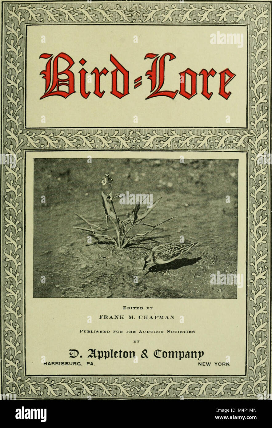Bird-lore (1921) (14751795032 Stock Photo - Alamy