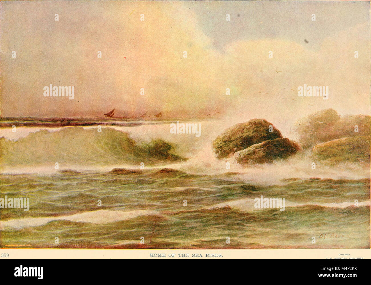 *Birds and Nature* (1900) is a nature magazine focusing on the study of ...