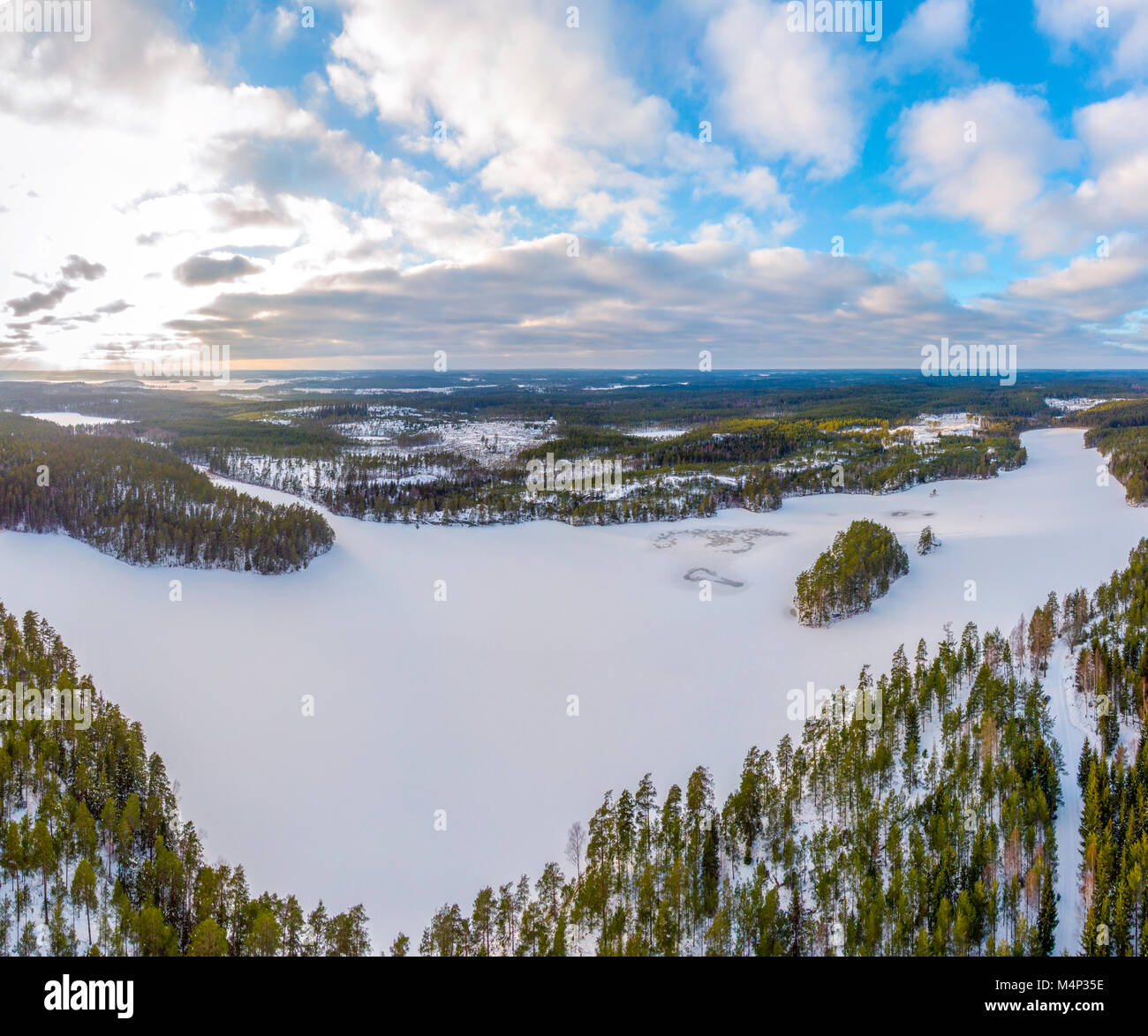Forest and frozen landscape in winter with snow covered ground Stock ...