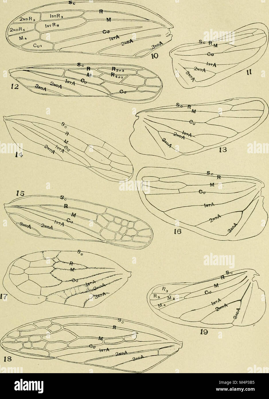 The 'Annals of the Entomological Society of America' (1913) is a ...