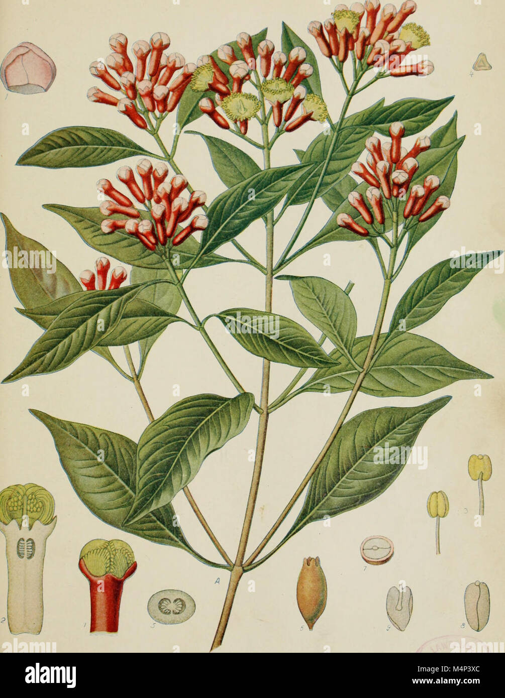 *Birds and Nature Magazine* (1896) offers detailed insights into the ...