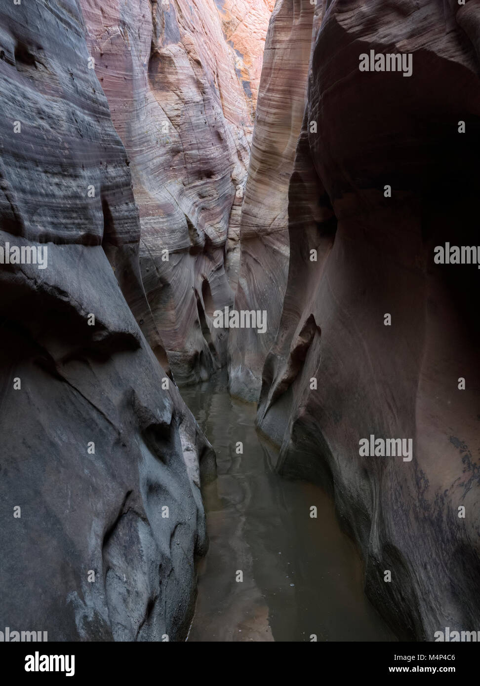 Zebra slot canyon grand staircase hi-res stock photography and images ...