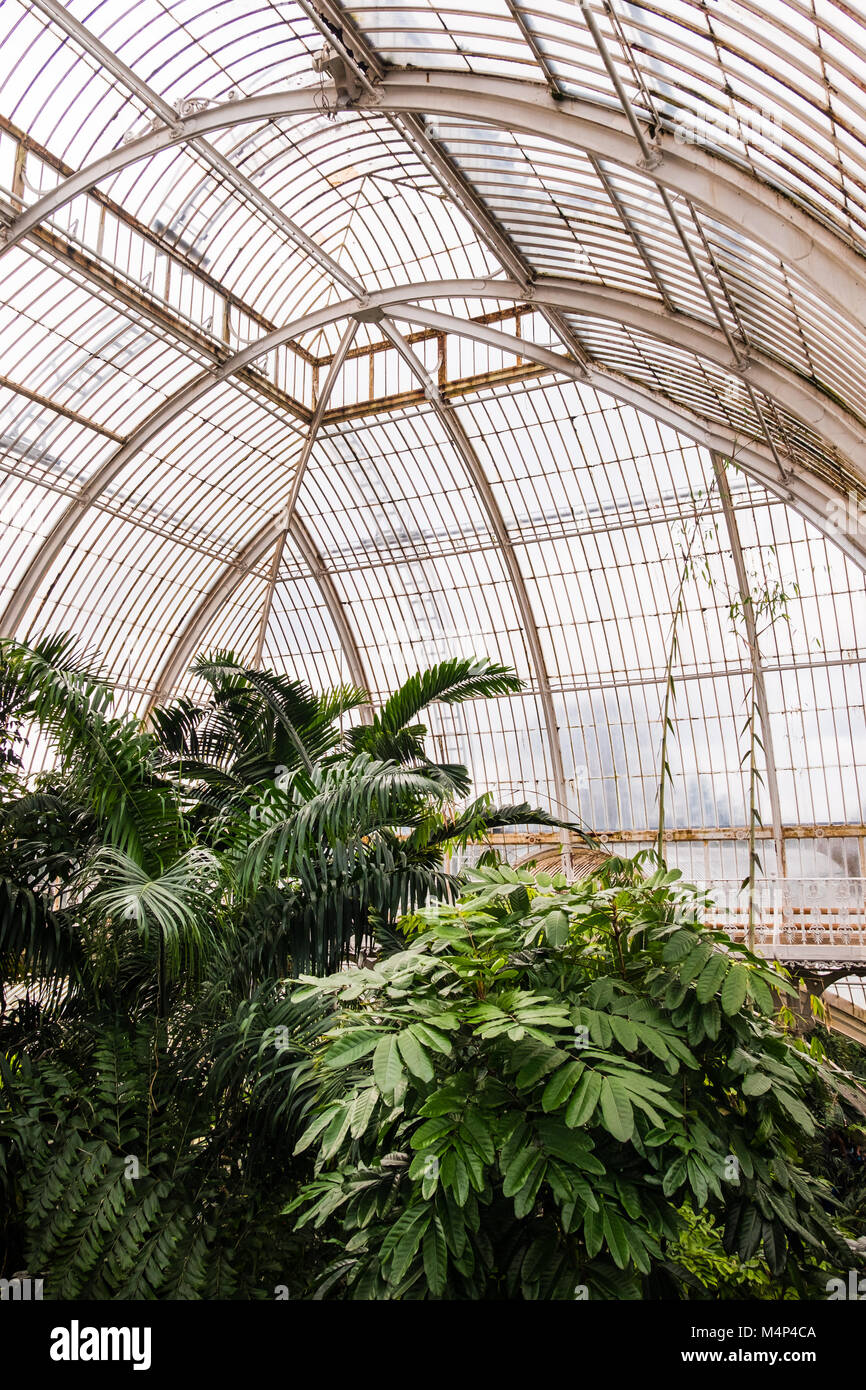 Atrium plants hi-res stock photography and images - Alamy