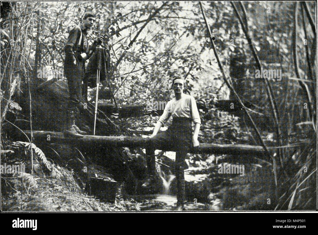'Birds of Our Bush' (1900) offers a photographic exploration of native ...