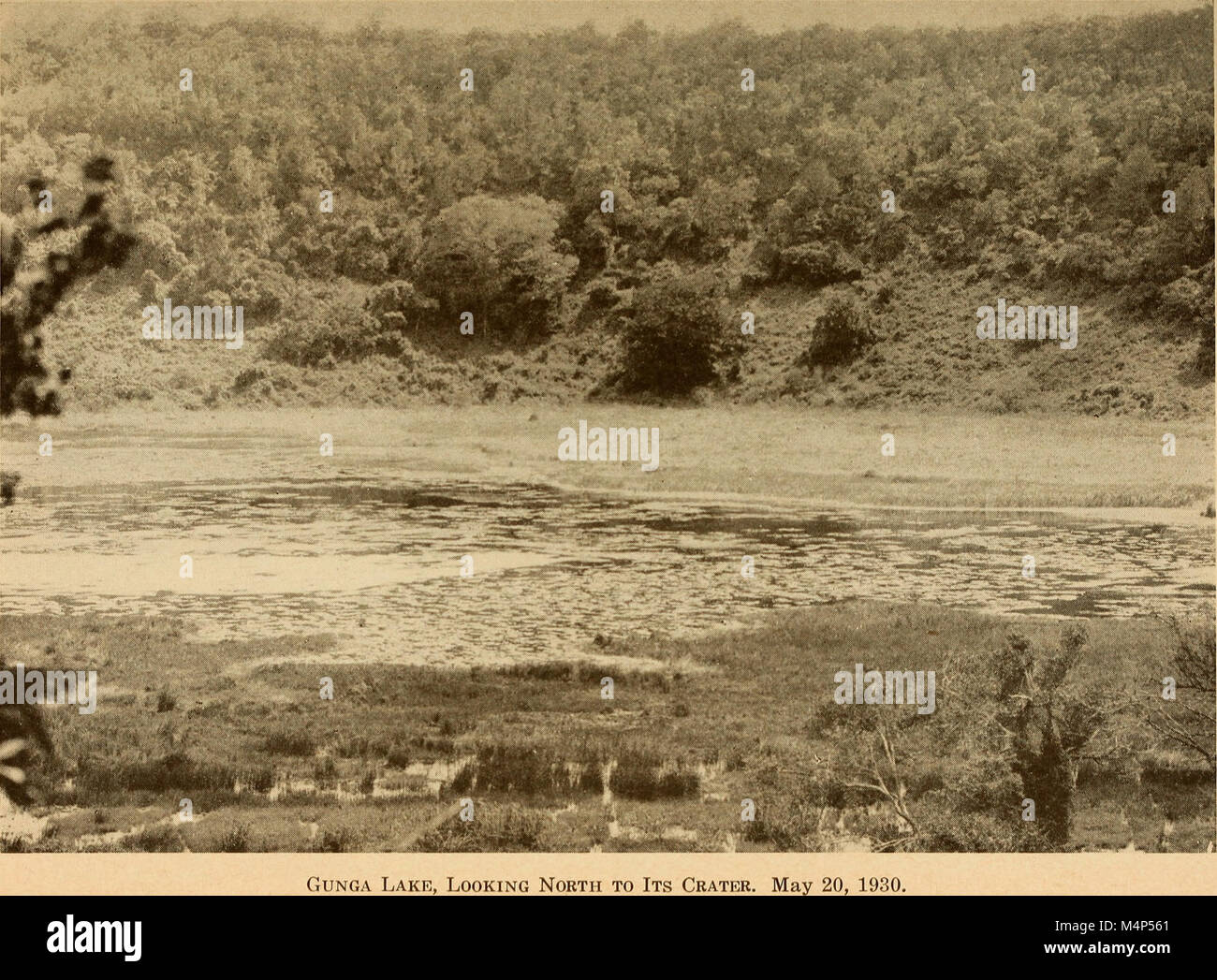 This 1945 report on the White-Fuller Expedition to Kenya documents the ...