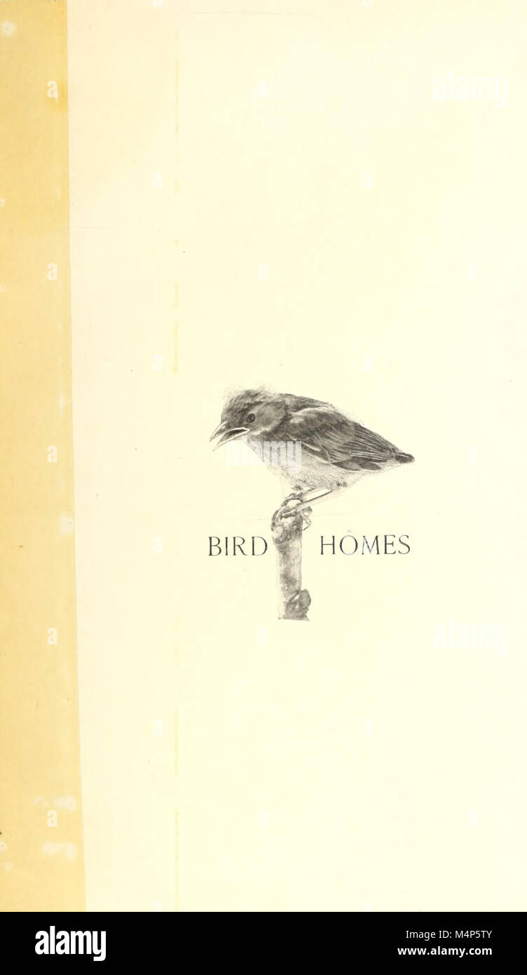 This 1902 book explores the nests, eggs, and breeding habits of land ...