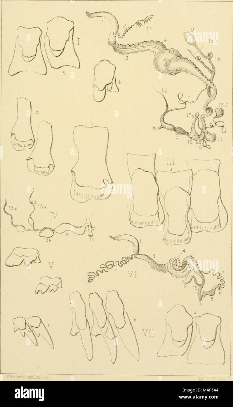 The 'Annals of the Lyceum of Natural History of New-York' (1874) is a ...