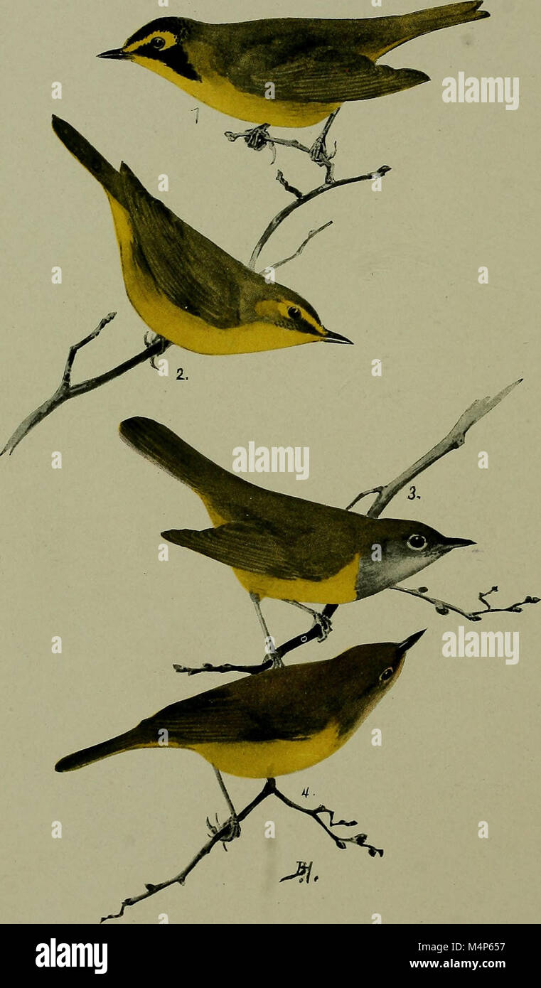 Bird Lore, published in 1905, is a periodical dedicated to the study ...