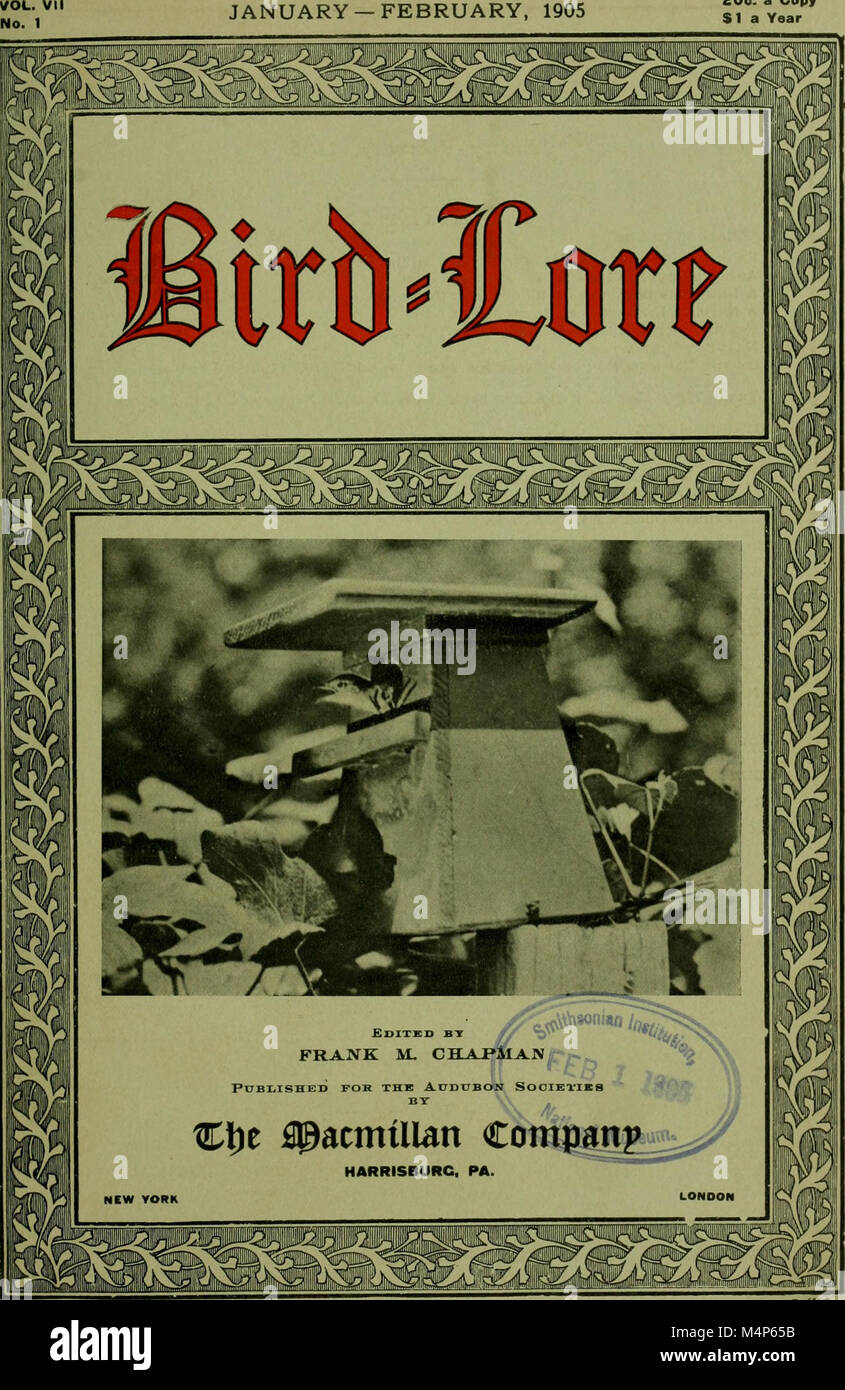 Bird lore (1905) (14747260114 Stock Photo - Alamy