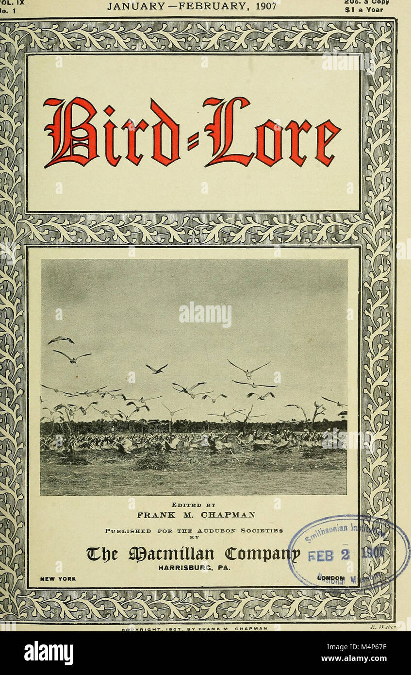 Bird lore (1907) (14569172417 Stock Photo - Alamy