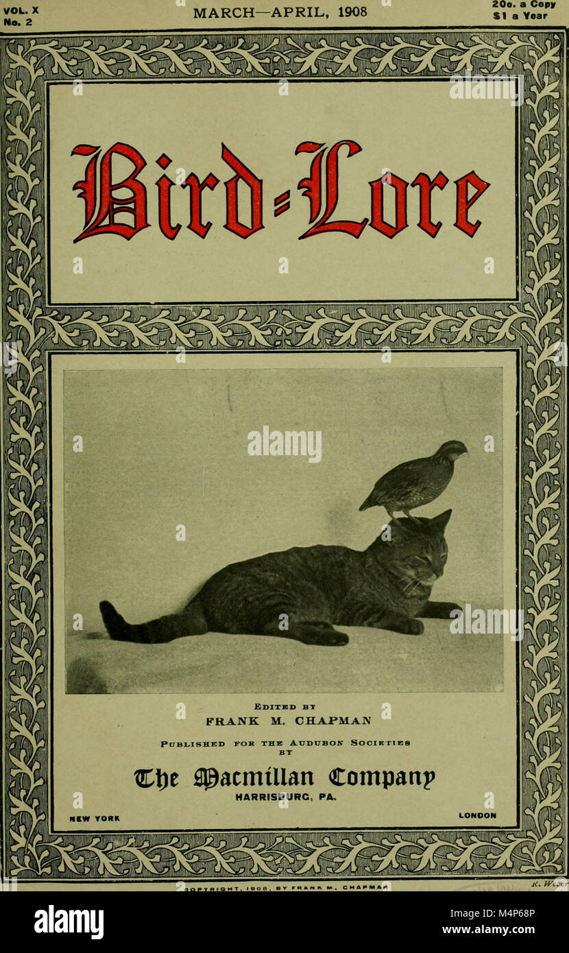 Bird lore (1908) (14564183589 Stock Photo - Alamy