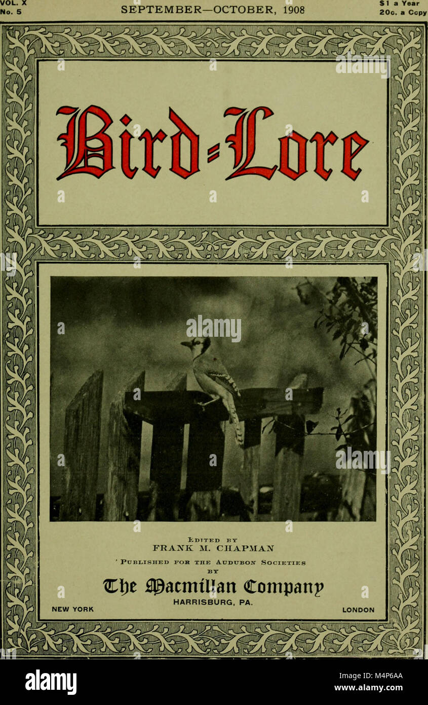 Bird lore (1908) (14770749543 Stock Photo - Alamy