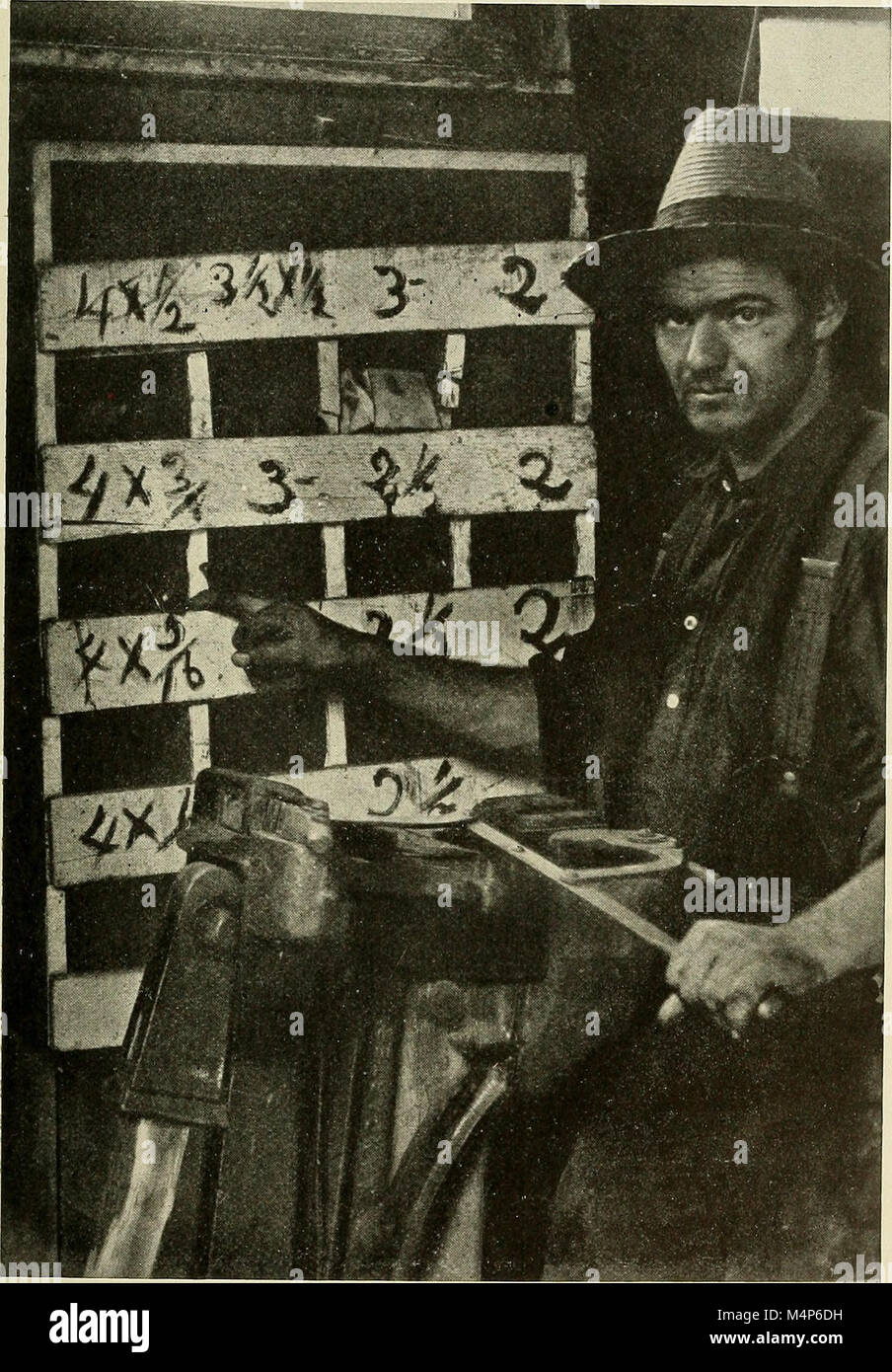 'Bird Lore' (1911) explores the science of ornithology, bird ...