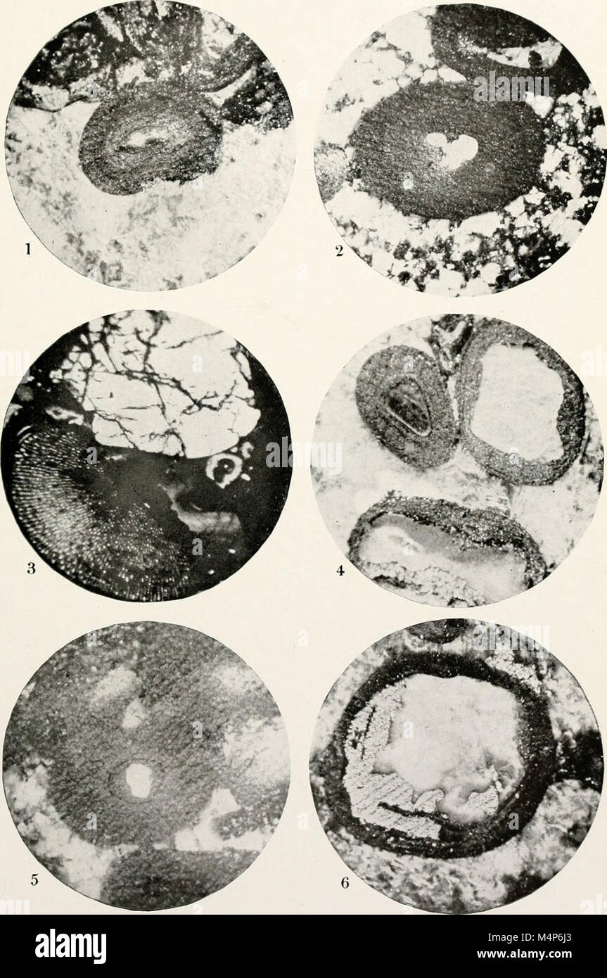 The 'Annals of the New York Academy of Sciences' is a scholarly journal ...