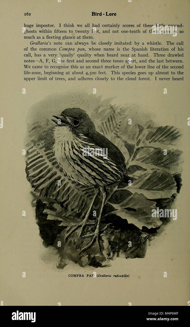 'Bird Lore' (1914) is a publication that explores bird species, their ...