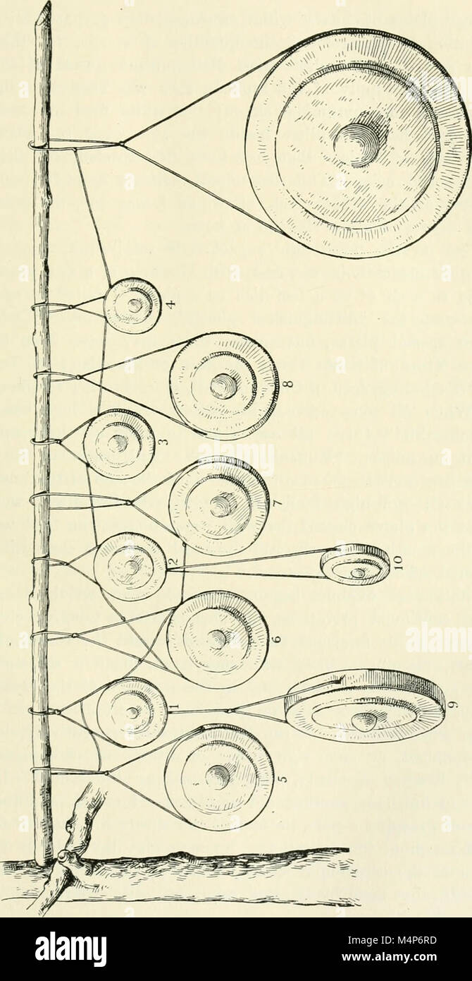 Annals of the New York Academy of Sciences (1879-) (18410021732 Stock ...